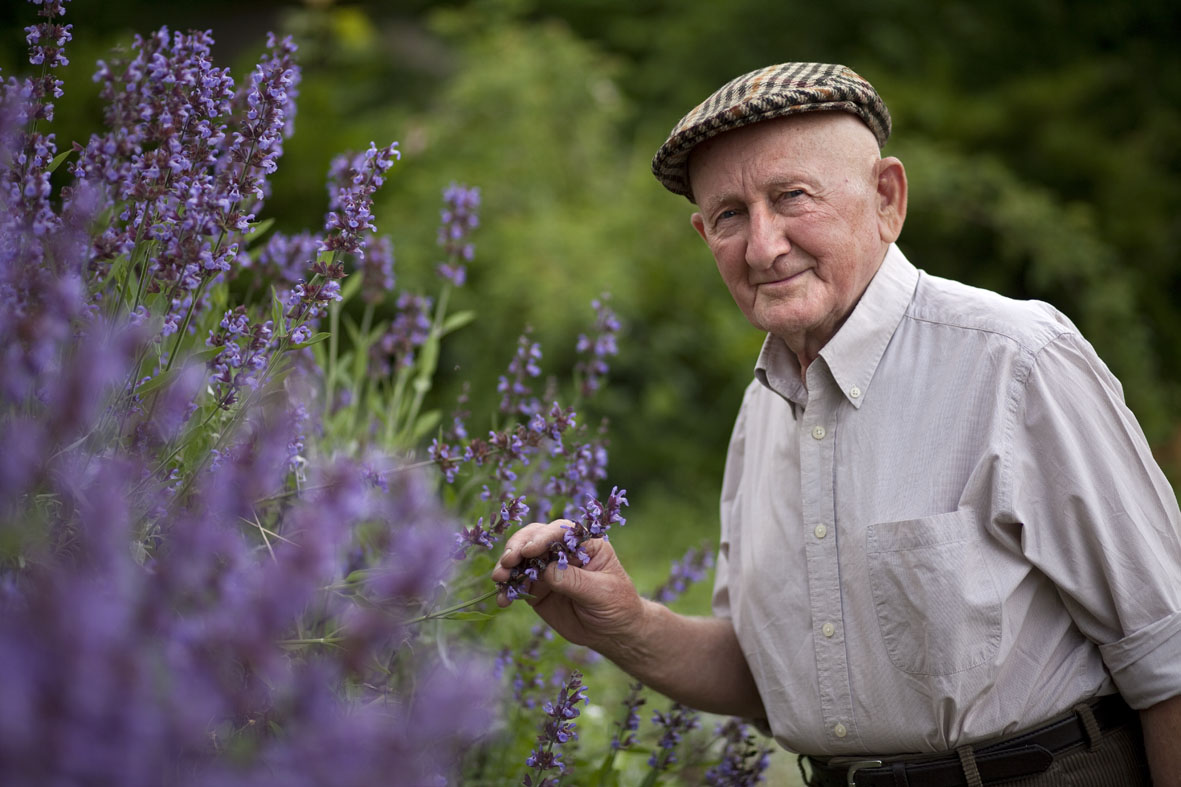 Hungarian herbs, Hungarian herb man - ItsHungarian :)